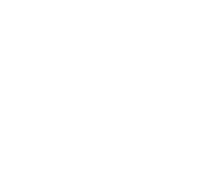Elizabeth Barrios – Chicagolandia